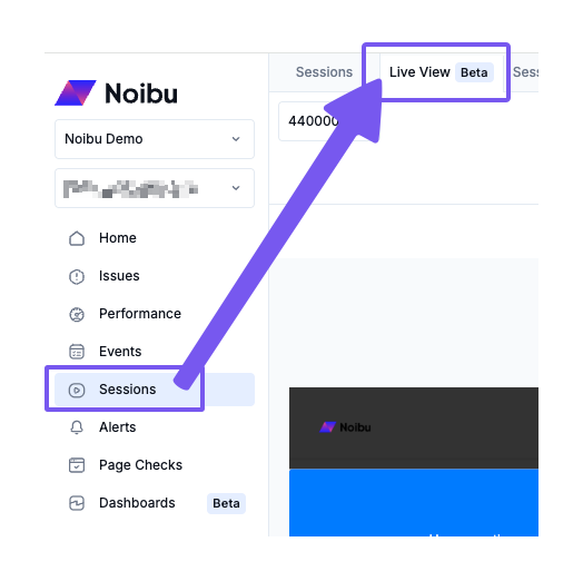 Using Live View for Real-time Troubleshooting (Beta) – Noibu - Knowledge Base